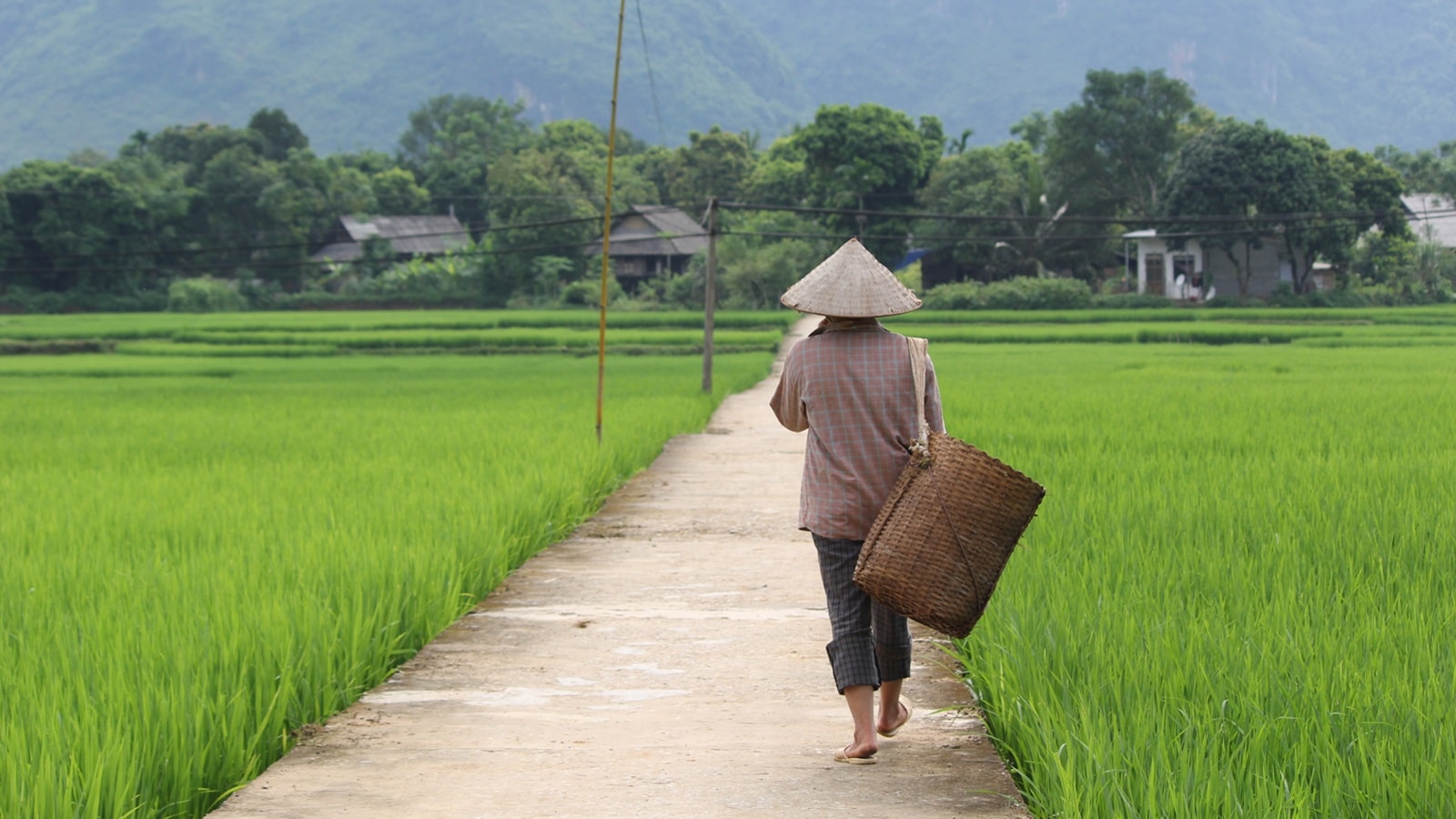 Exploring Vietnam’s rural lifestyle · Asian Trails
