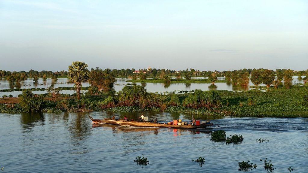 Bird Watching at Tonle Sap’s Inundated Forest - Asian Trails
