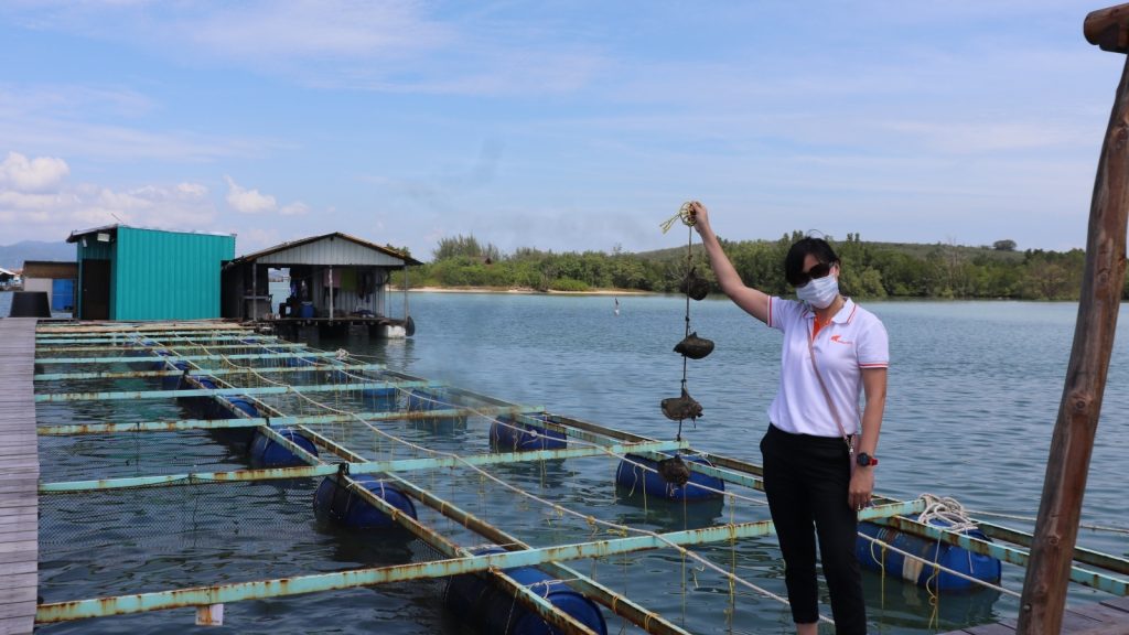 Private Full day Intara Farm visit - Asian Trails