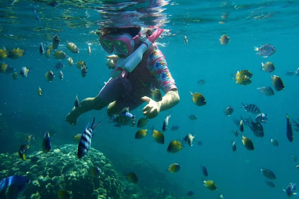 Dinawan - a tropical island getaway · Asian Trails