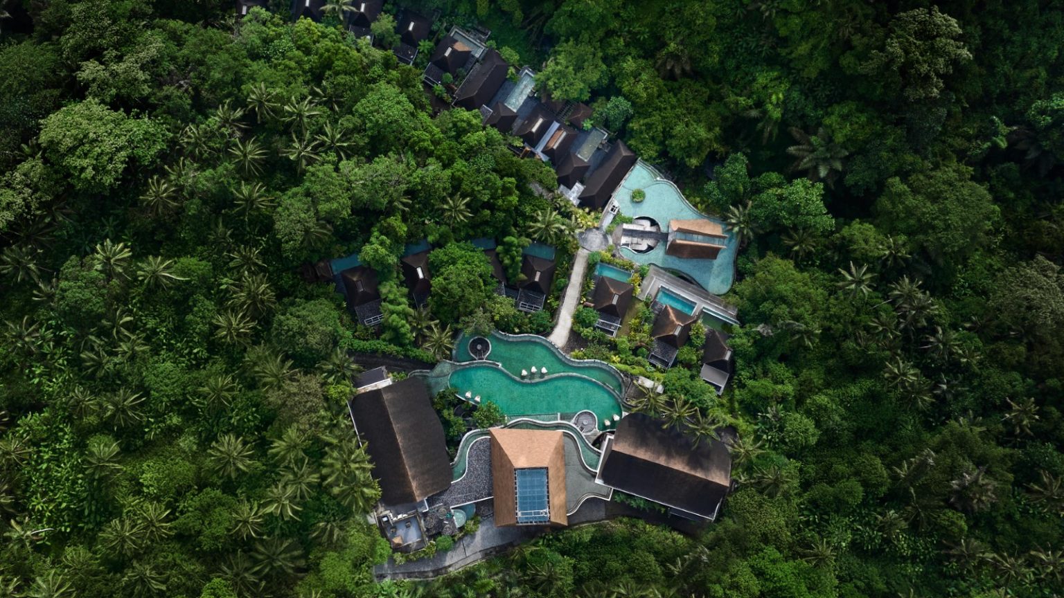 A forest retreat for group escapes · Asian Trails